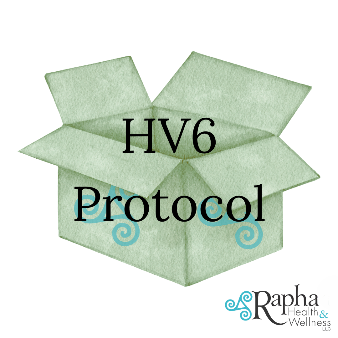 HV6 Protocol